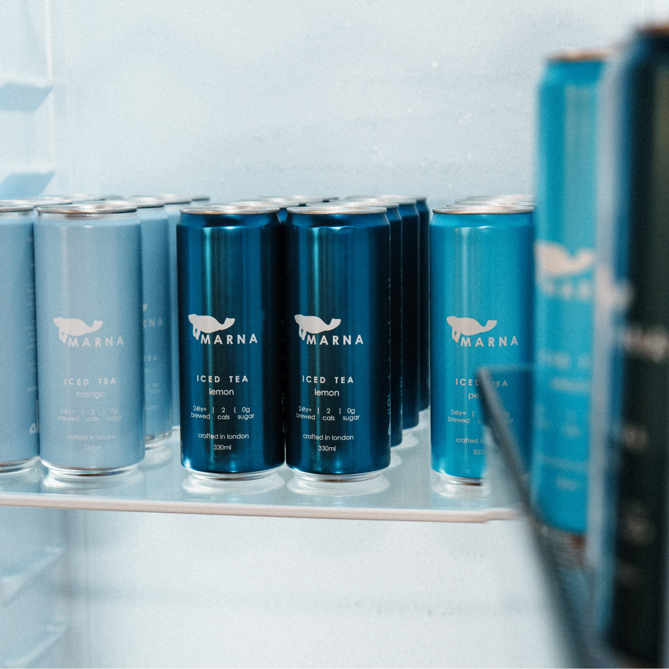 Iced Teas (Wholesale)